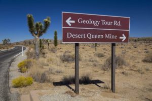 The Ultimate 2 to 3 Days in Joshua Tree Itinerary - The World Was Here ...