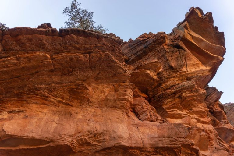 10 Best Stops on the Phoenix to Tucson Drive - The World Was Here First