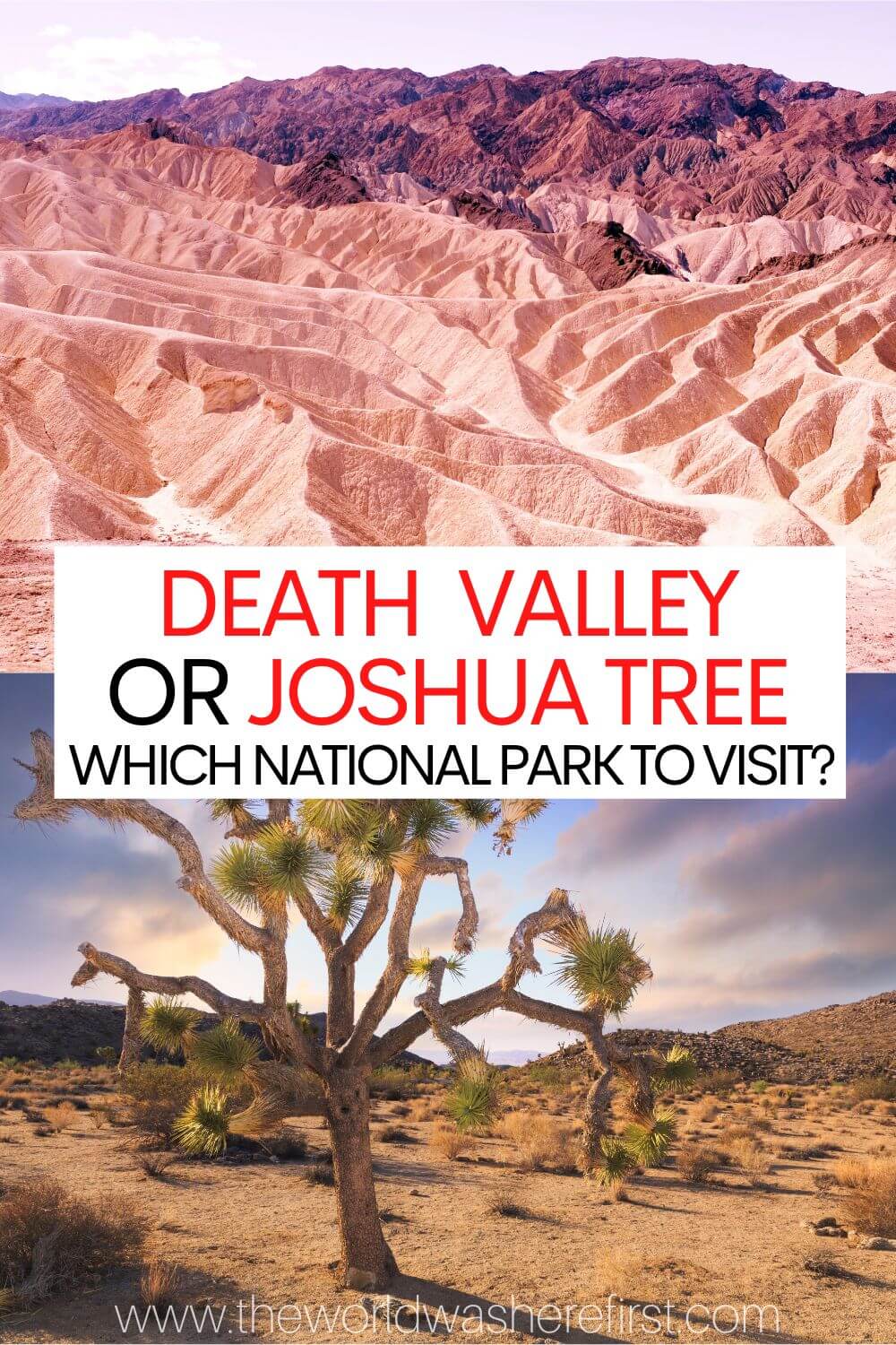 Death Valley vs Joshua Tree: Which National Park to Visit? - The World ...