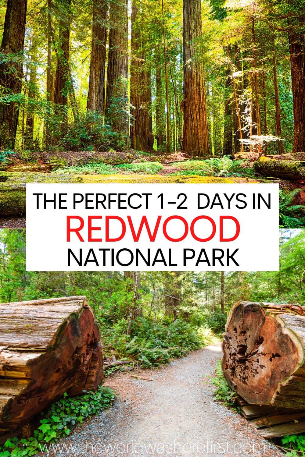 The Perfect 1 to 2 Days in Redwood National Park Itinerary - The World ...
