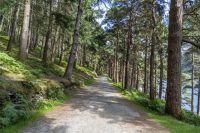 The Perfect Wicklow Mountains Day Trip from Dublin - The World Was Here ...