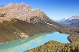Banff vs Jasper: Which National Park to Visit? - The World Was Here First