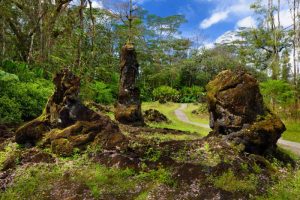 The Ultimate One Day in Volcanoes National Park Itinerary - The World ...