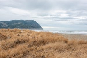 The Ultimate Guide to Visiting Oregon in Winter - The World Was Here First