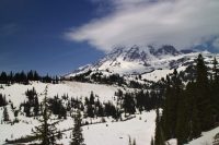 The Essential Guide to Visiting Washington in Winter - The World Was ...