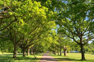 How to Spend One Day in Southampton, England - The World Was Here First